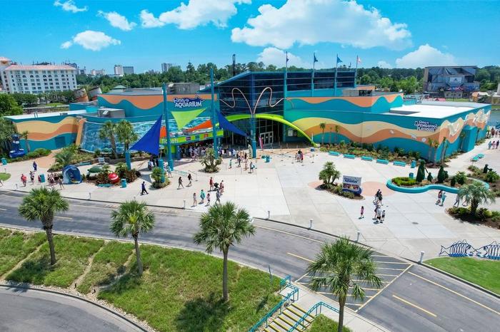 9 Top Things to Do in Myrtle Beach for Families - hotel BLUE